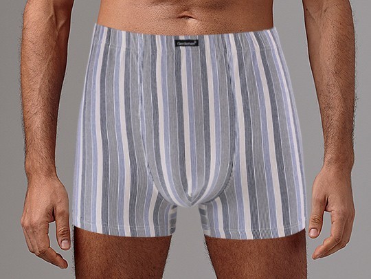 Трусы шорты мужские GS7853 BIG бренда Gentlemen купить в интернет ...